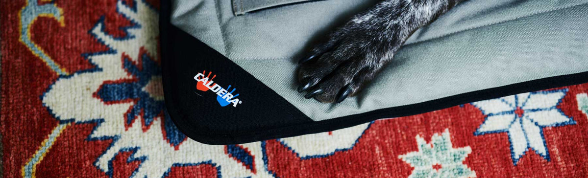 Best Heated & Cooled Pet Beds for Dogs Online Sale – Caldera International