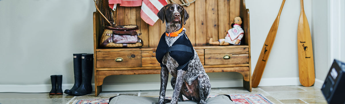 Caldera Pet Therapy & Dog Recovery Wraps | Caldera International, Inc.