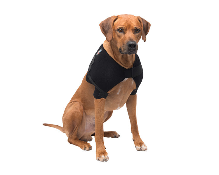 Large Shoulder Pet Therapy Wrap – Caldera International